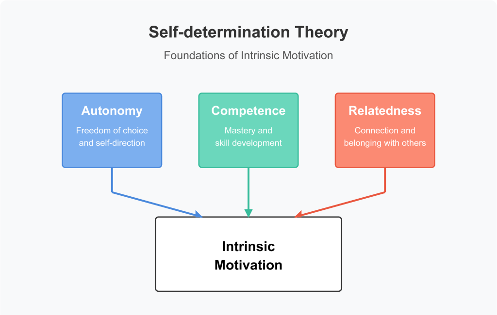 Self Determination Theory Design In Progress A Collaborative Text On